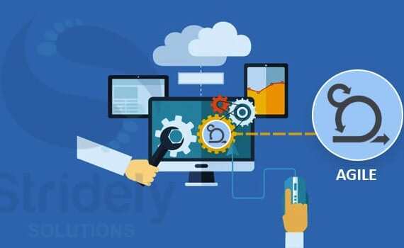 Qa Automation Software Testing Company