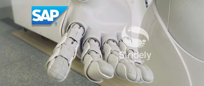 Understanding SAP Conversational AI Bot Implementation