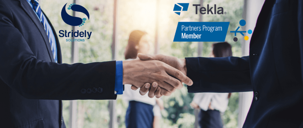 Insights - Stridely Solutions